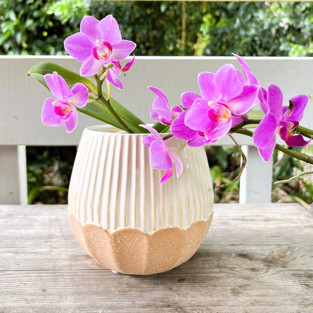 Fluted Ceramic Pot – Evelyn and Owl