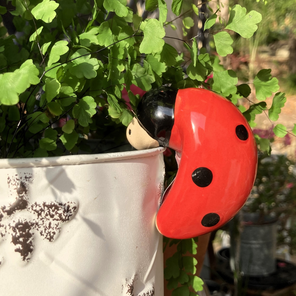 Ladybird Pot Sitter – Evelyn and Owl