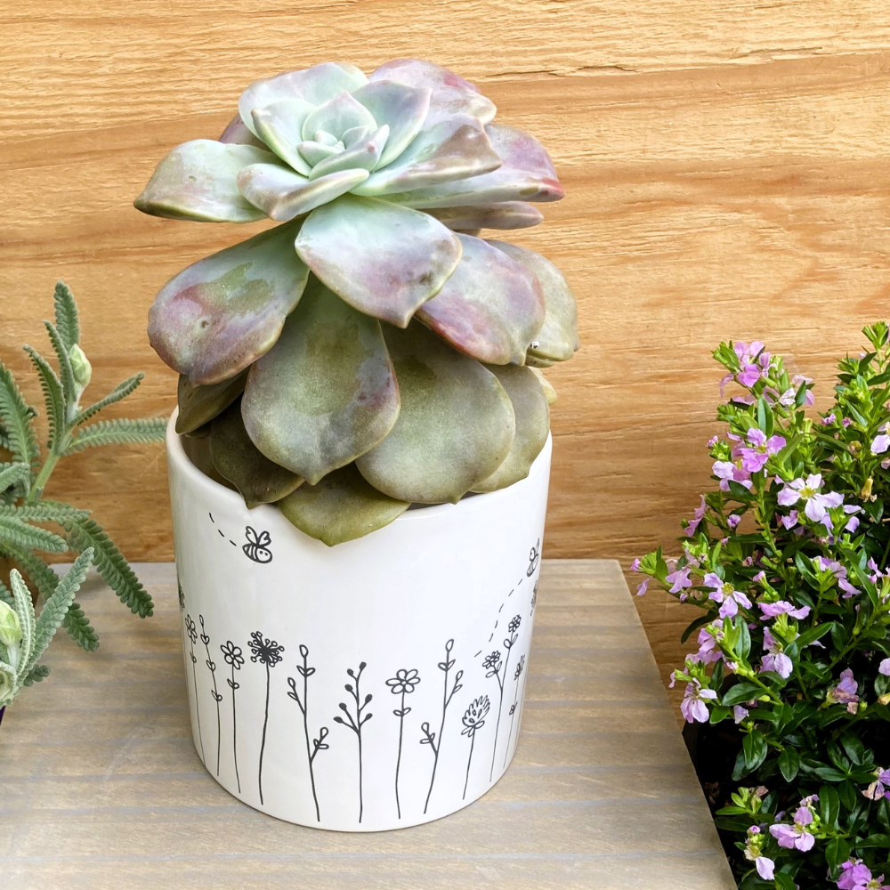 Bud and Bloom Planter – Evelyn and Owl