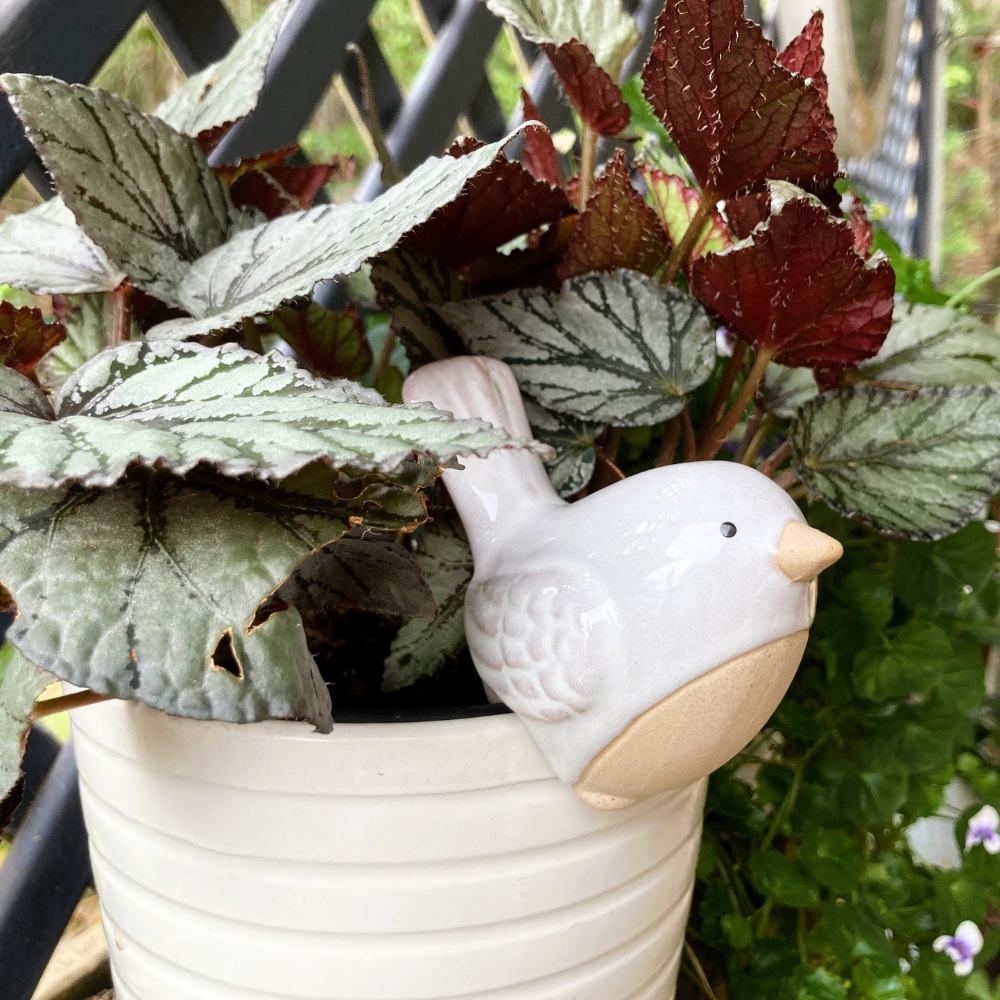 Bird Pot Sitter - white – Evelyn and Owl