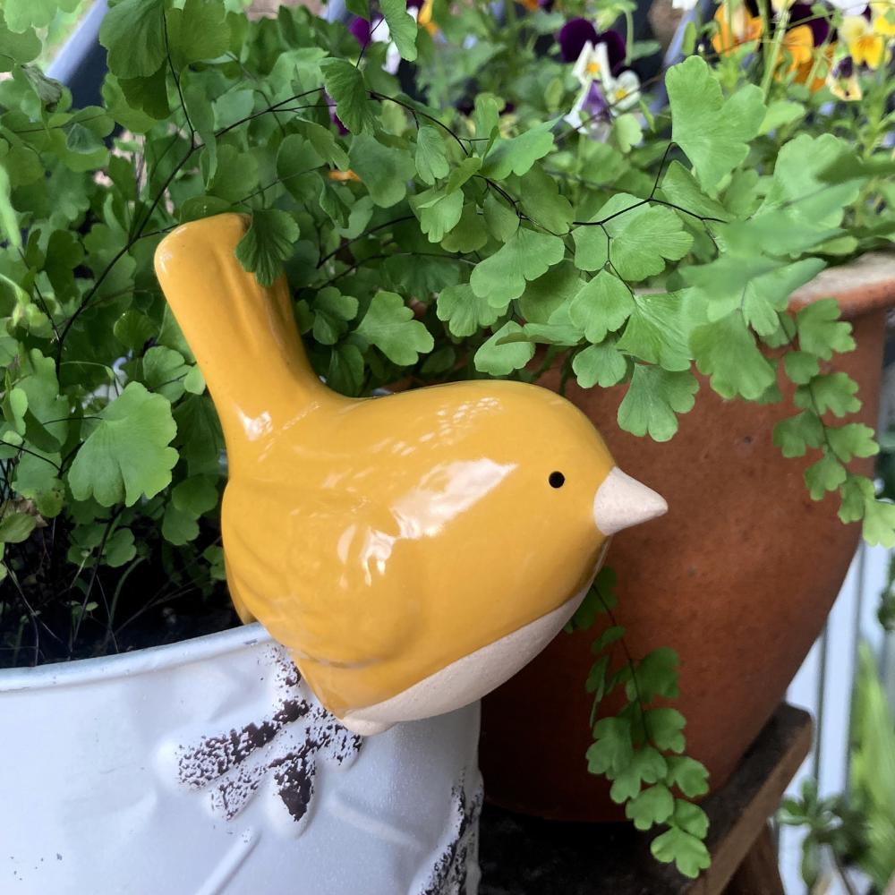 Bird Pot Sitter - yellow – Evelyn and Owl